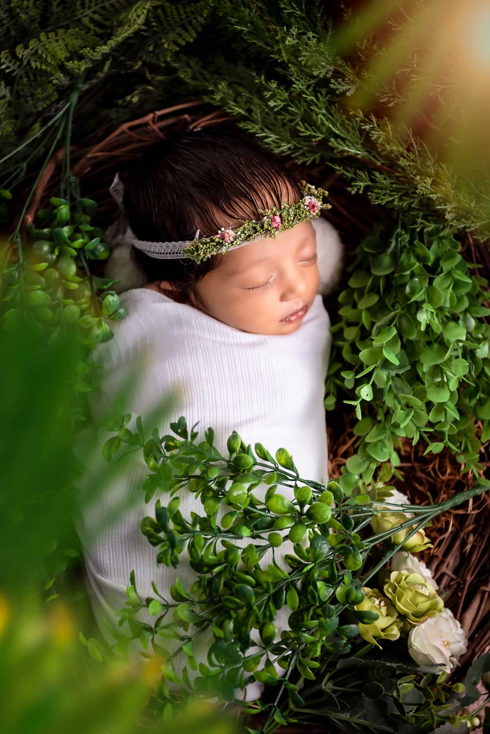 About Us – Baby Concept Captures
